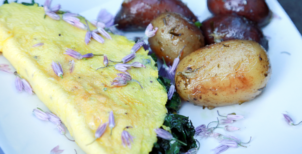 Summer omelettes | Steel Wheel Farm